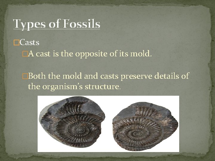ALL ABOUT Notes Fossils Fossils are perserved remains