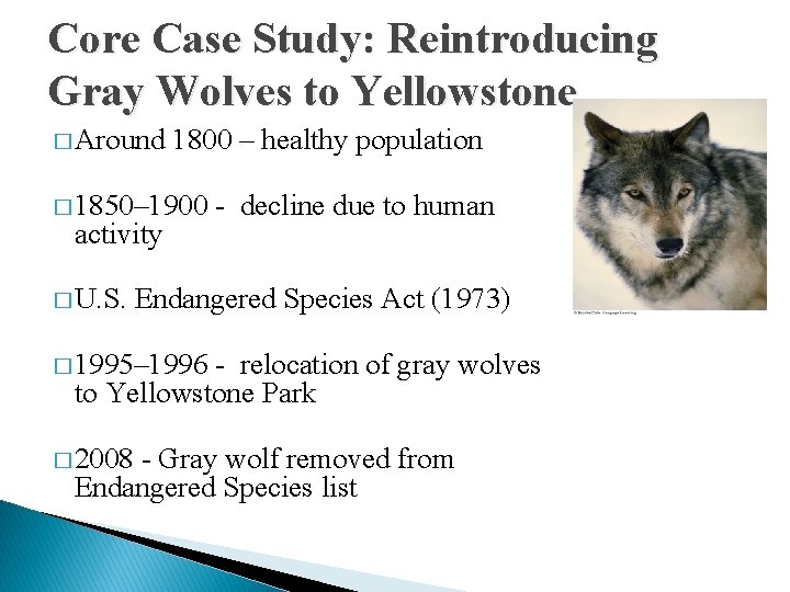 Chapter 10 Sustaining Terrestrial Biodiversity The Ecosystem Approach