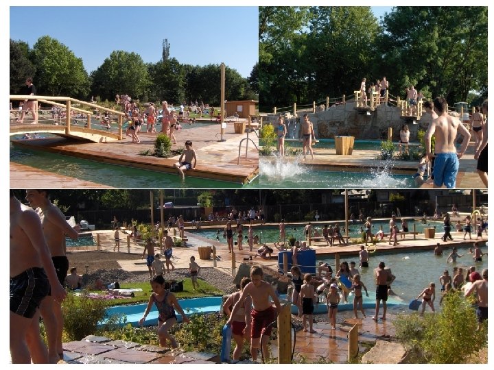 Natur Erlebnis Bad Luthe e G Natur Badespa