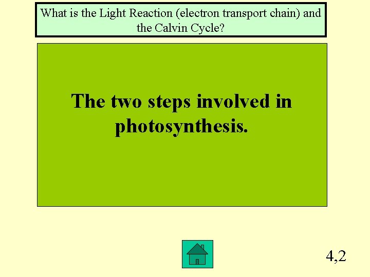 Hosted by Mrs Yuen ATP Photosynthesis Cellular Respiration