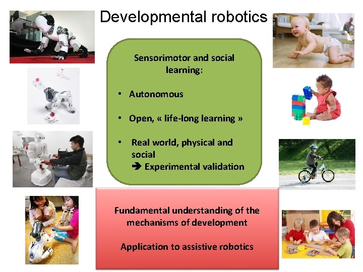 Developmental Mechanisms for LifeLong Autonomous Learning in Robots