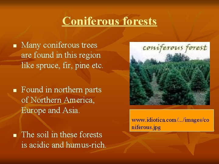 PRESENTATION ON FOREST ECOSYSTEM 3 PRESENTED BY 1