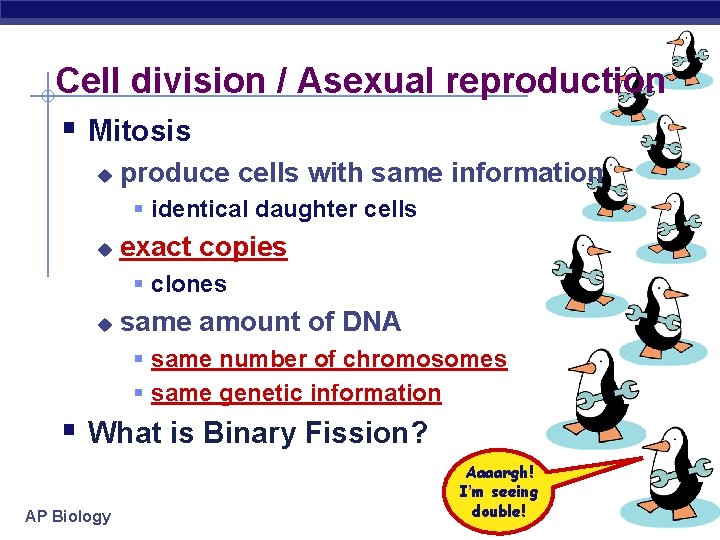 Meiosis Sexual Reproduction AP Biology 2007 2008 Cell