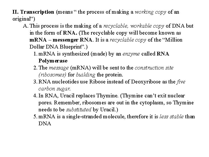Pre AP Biology Protein Synthesis 4 2 Part