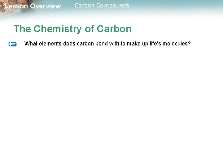 Lesson Overview Carbon Compounds Lesson Overview 2 3
