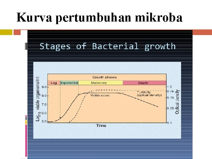 PERTUMBUHAN MIKROORGANISME Pertumbuhan pada organisme yang makro merupakan