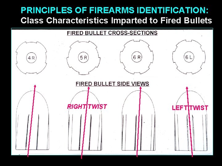 EXCERPTS from BASIC FIREARMS IDENTIFICATION Lucien C Haag