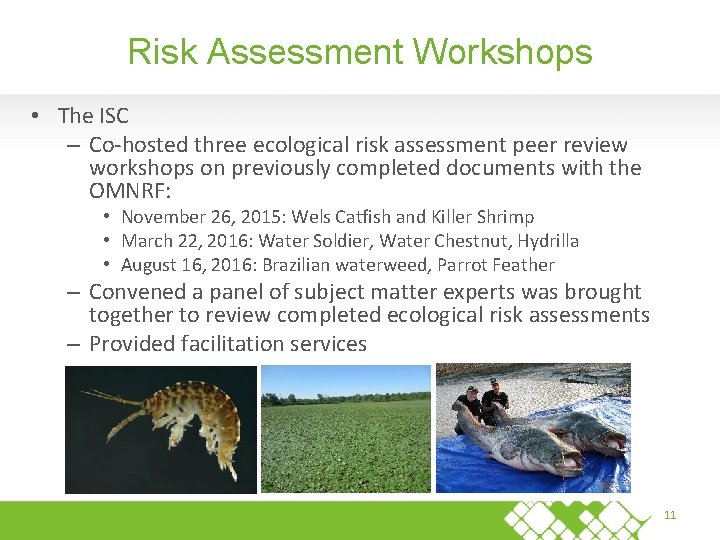 Collaborative Approach to Risk Assessment for Invasive Species