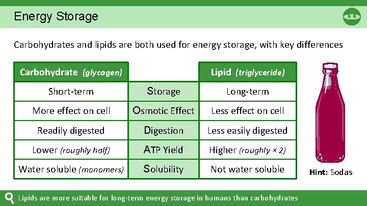 Topic 2 3 CARBOHYDRATES LIPIDS Topic Outline AUDIO