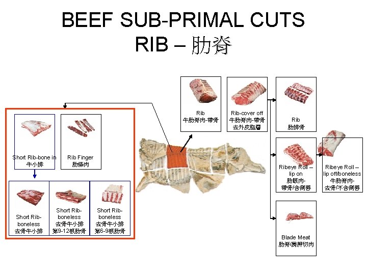 World Beef Trade Flows 2006 World Beef Trade
