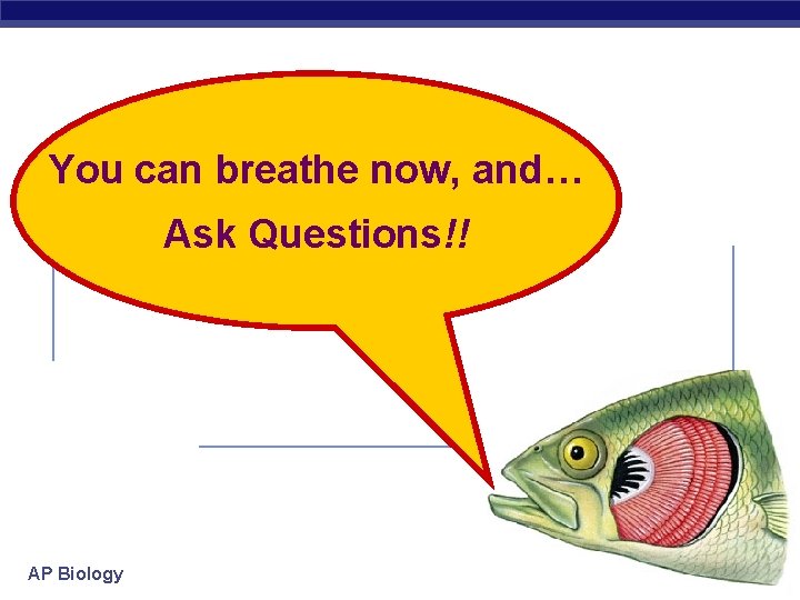 Respiratory System AP Biology 2008 2009 Why do