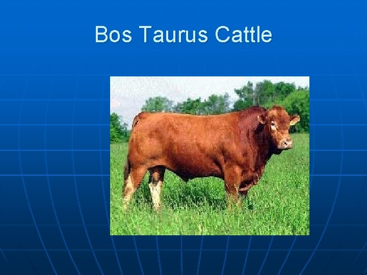 Beef Unit 11 12 th Grade Learning Targets