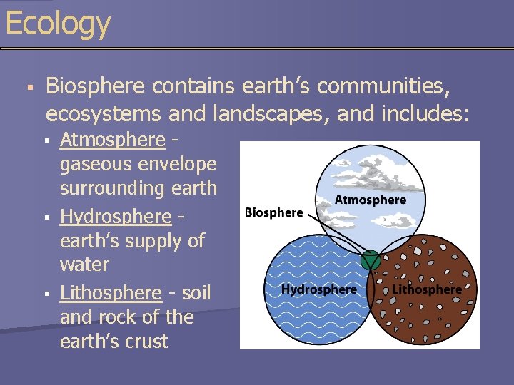 Chapter 3 Ecosystems and Energy Chesapeake Bay Salt