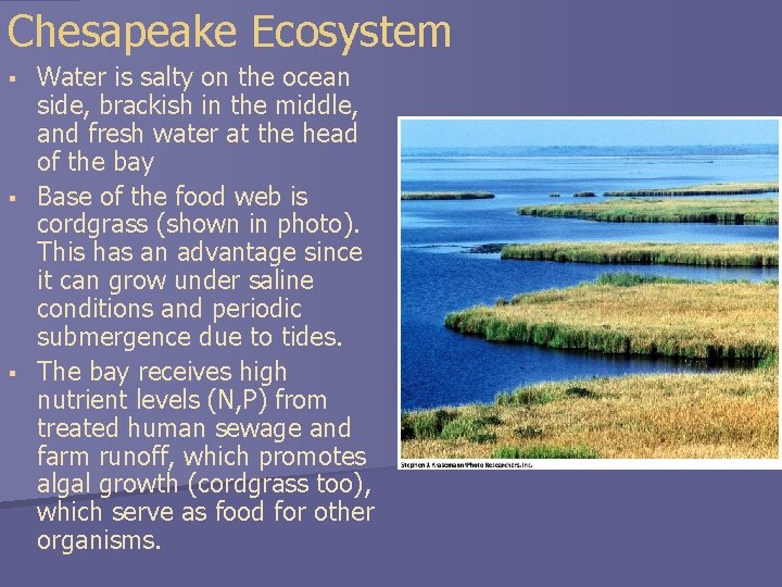 Chapter 3 Ecosystems and Energy Chesapeake Bay Salt