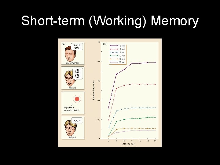 Learning Memory Behavioral and Cognitive Neuroanatomy http zlab