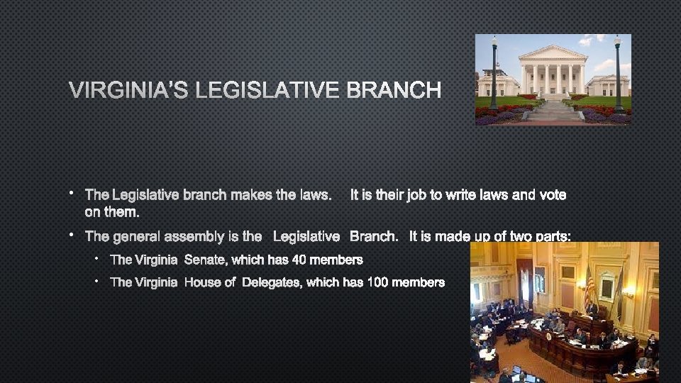 VIRGINIAS BRANCHES OF GOVERNMENT CAN YOU NAME THEM