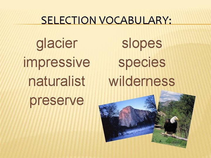 LETTERS HOME FROM YOSEMITE BY LISA HALVORSEN Grade