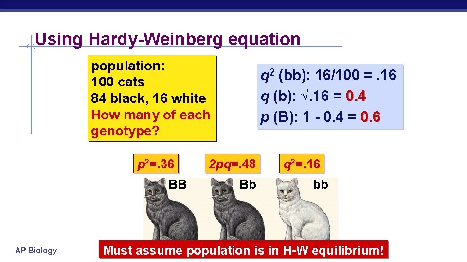 HARDYWEINBERG EQUILIBRIUM Crash Course AP Biology Measuring Evolution