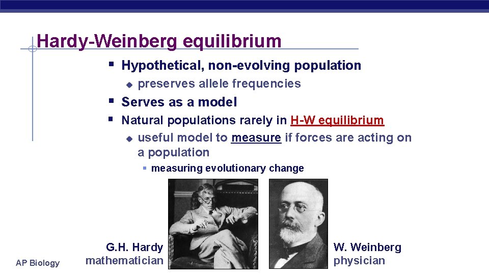 HARDYWEINBERG EQUILIBRIUM Crash Course AP Biology Measuring Evolution