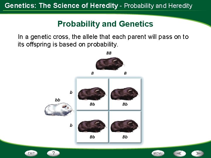 Genetics The Science of Heredity Table of Contents