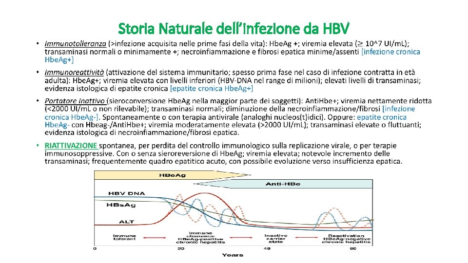 JOURNAL CLUB Gestione clinica della epatite B negli