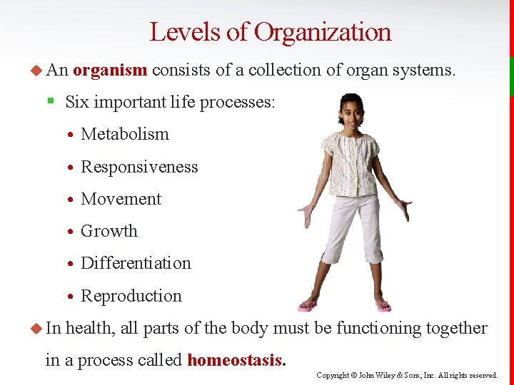 Chapter 1 An Introduction to the Human Body