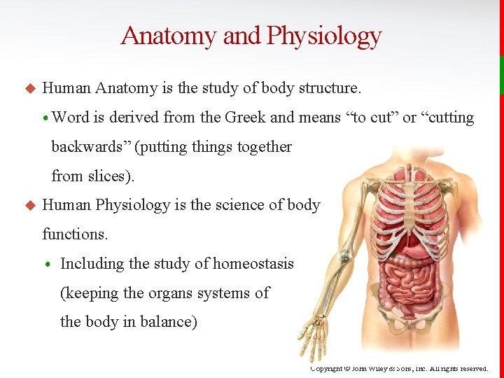 Chapter 1 An Introduction to the Human Body