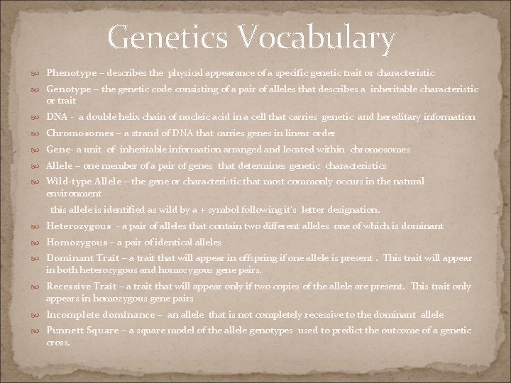 Bos Taurus Genetics Exploring Genotypes and Phenotypes of