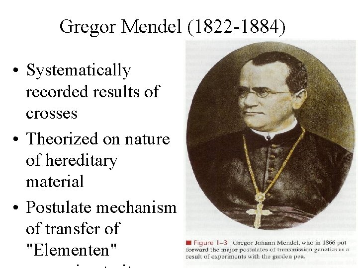 History of Genetics People have known about inheritance