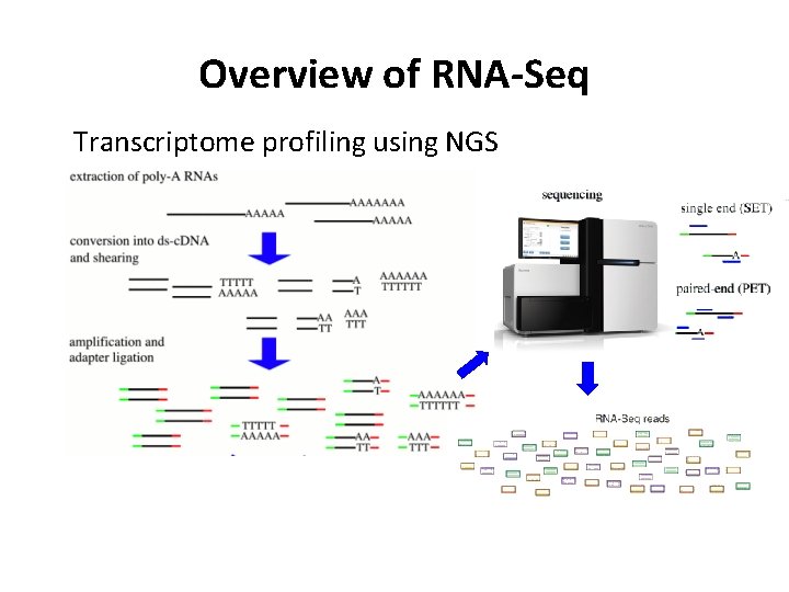 RNASeq data analysis Qi Liu Department of Biomedical