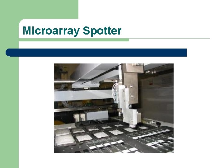 BIONFBENG 203 Functional Genomics Sources of Functional Data
