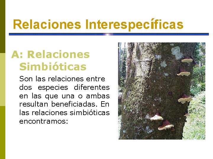 UNIVERSIDAD NACIONAL DE TRUJILLO Ecologa de Poblaciones Dra