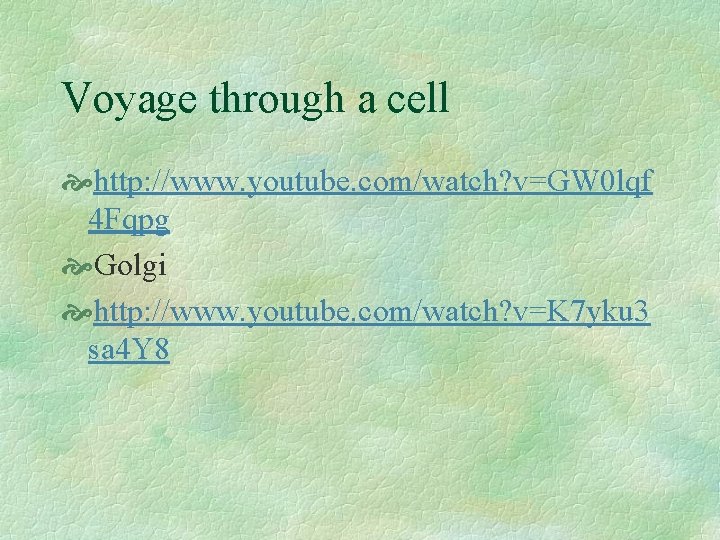 Lecture 3 Date Chapter 8 Membrane Structure Function