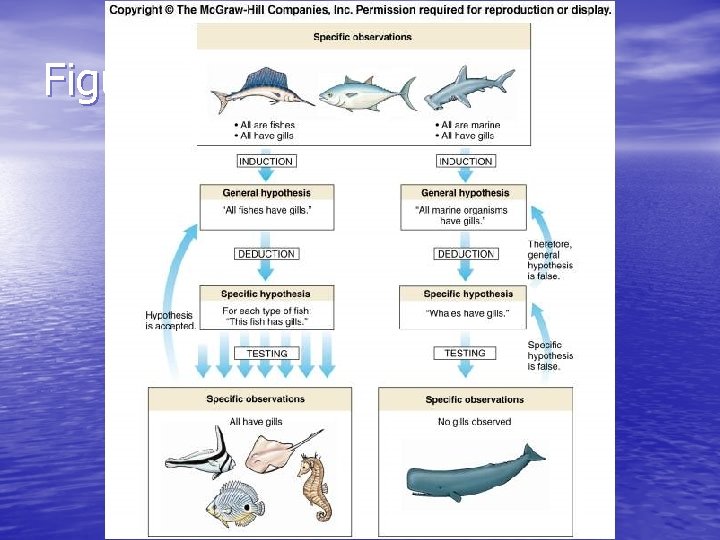 The Science of Marine Biology Chapter 1 Outline