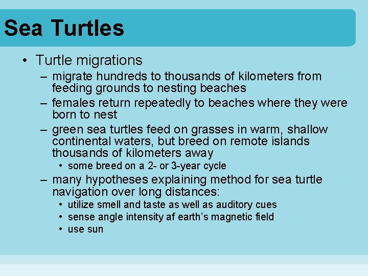 Chapter 11 Marine Reptiles and Birds Marine Reptiles