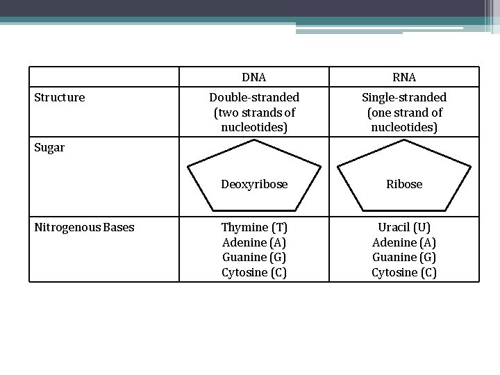 Bell Ringer 3 22 1 What is DNA