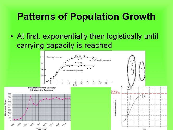 Ecology PART I Lesson Objectives Describe ecological levels