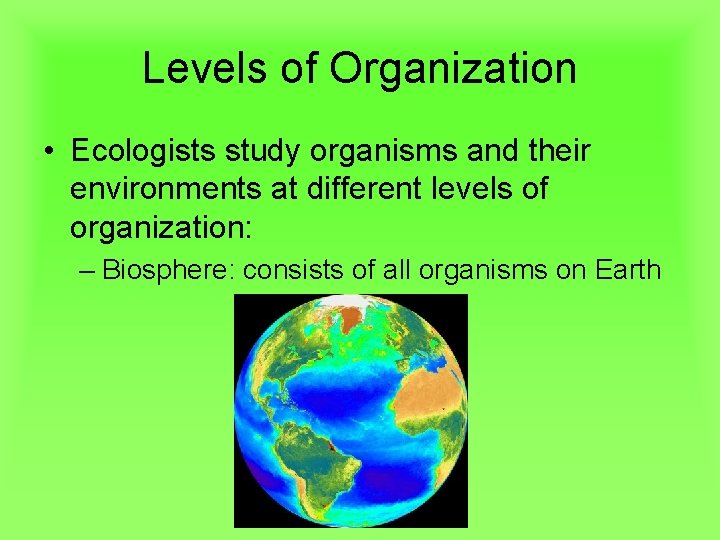 Ecology PART I Lesson Objectives Describe ecological levels