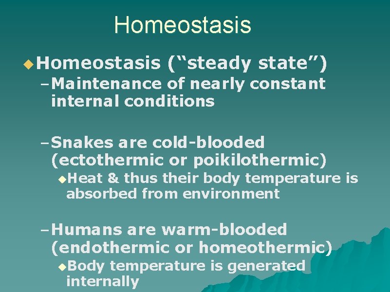 Homeostasis and the Organization of the Animal Body