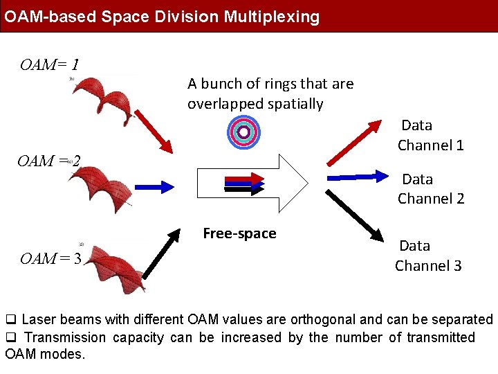 Highcapacity Optical Communications Using OAMbased Space Division Multiplexing