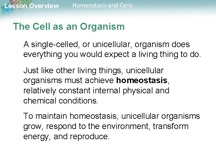 Lesson Overview Homeostasis and Cells Bell Work Monday
