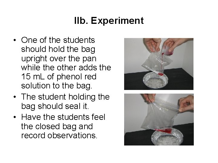 Chemistry in a Ziploc Bag Minilesson Vanderbilt Student