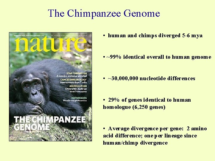Evolution of the human genome by natural selection