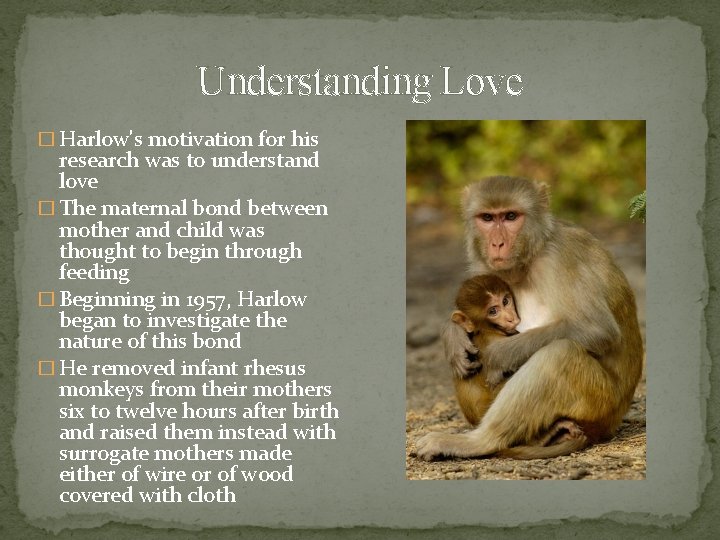 Harry Harlow By Meagan Lilley Harry Harlow Was