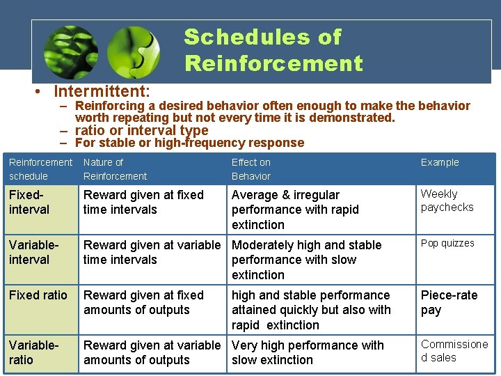 Chapter 2 Foundations of Individual Behavior ORGANIZATIONAL BEHAVIOR