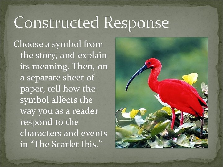 The Scarlet Ibis By James Hurst Important Things