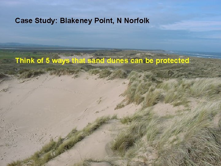 Factors Affecting Sand Dune Ecosystems 1 BEACH MANAGEMENT