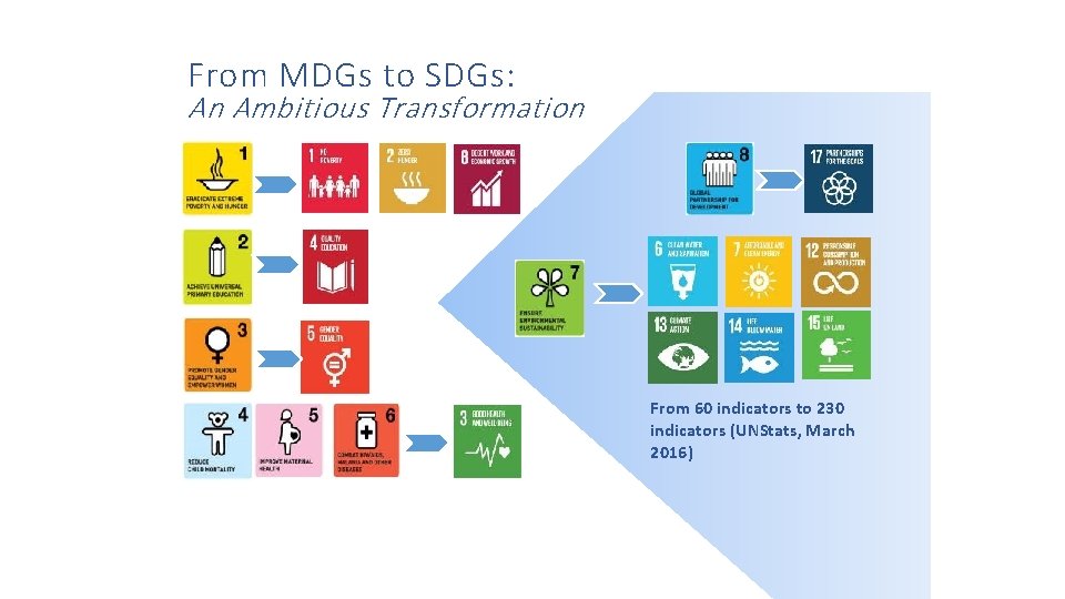 SDGs and the Global Sustainability Agenda Prof Dr