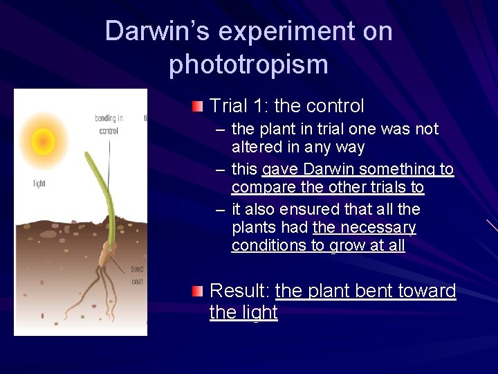 Science 10 Unit C BIOLOGY Chapter 3 Plants