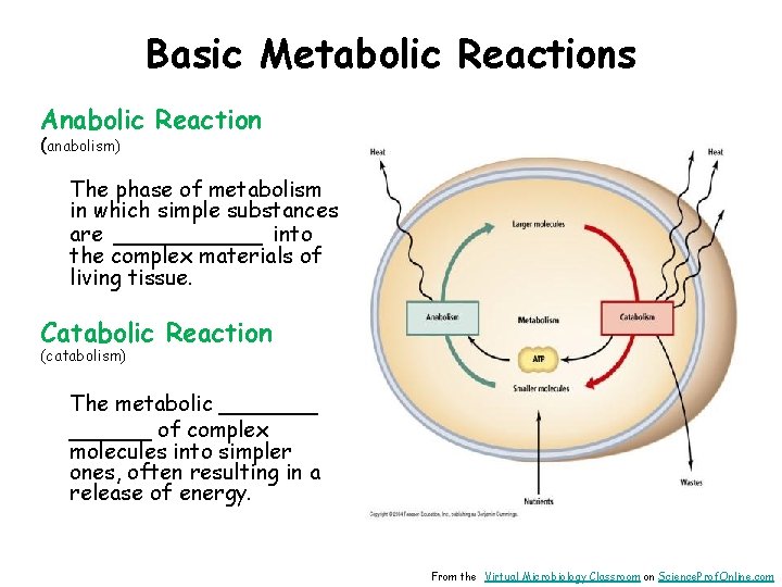 About Science Prof Online Power Point Resources Science